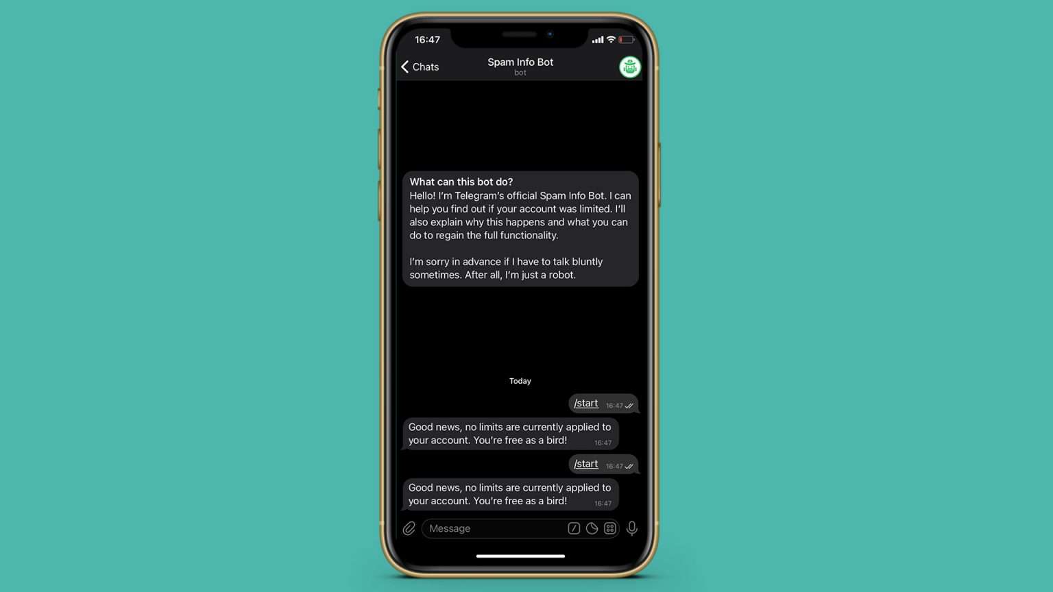 Common Telegram issues on iPhone and how to solve them